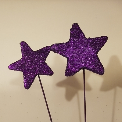 Lilla stjerne på stilk – Perfekt til dekorationer