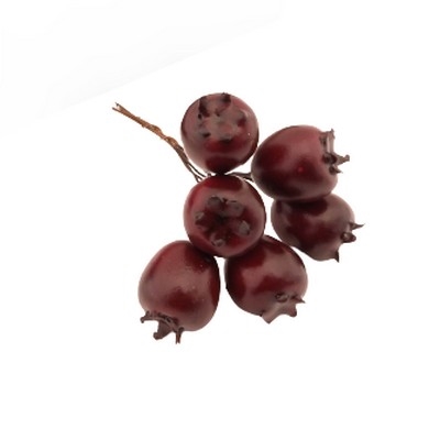 6 Hyben på tråd Ø2,5 mørkerød - Perfekt til dekoration